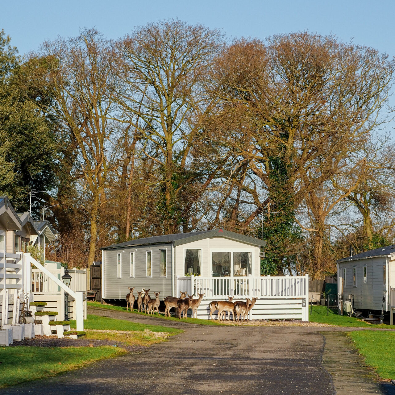 Lyon's Eryl Hall | Owners Exclusive Holiday Park North Wales
