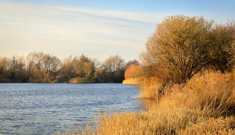 Lyons Robin Hood Holiday Park | Caravan Park in Rhyl