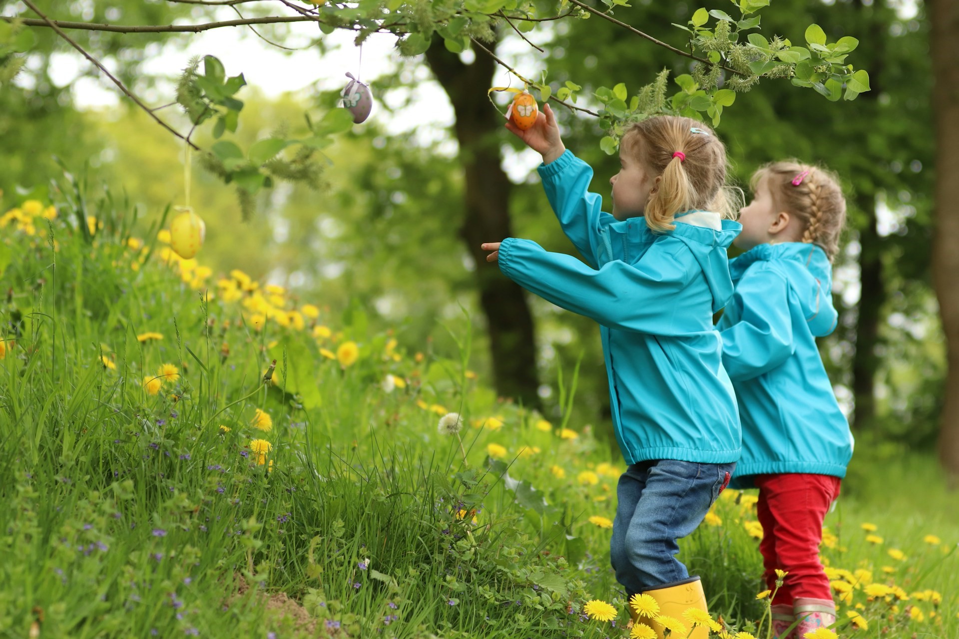 Spring Holidays & Spring Breaks UK | Lyons Holiday Parks